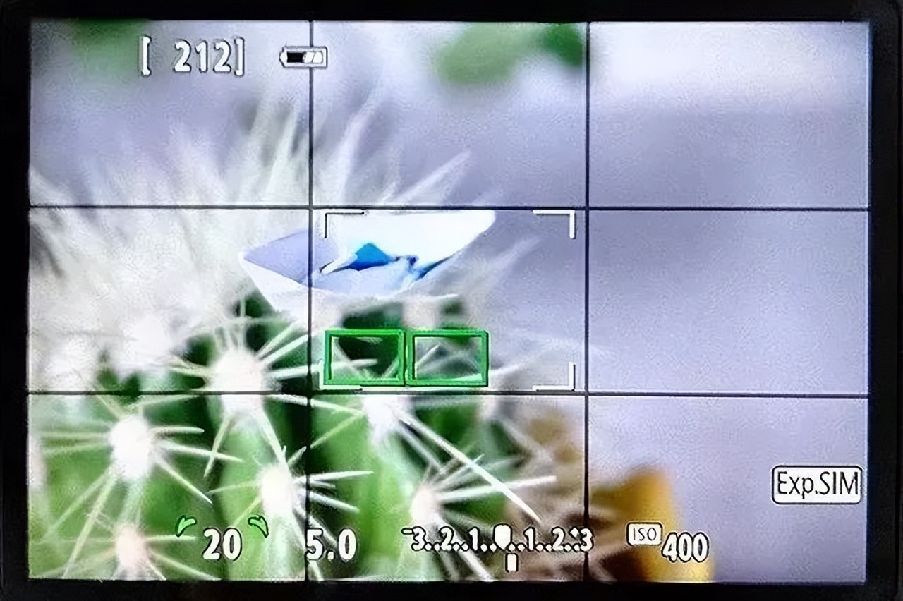 To shoot macro subjects in spring, these skills must be mastered - iNEWS