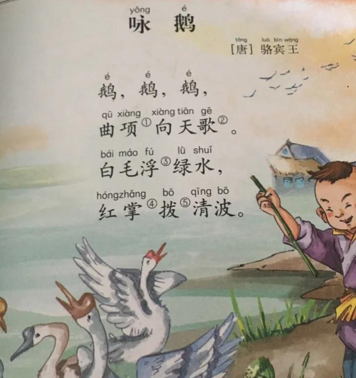 The famous goose singing prodigy Luo Binwang - iNEWS