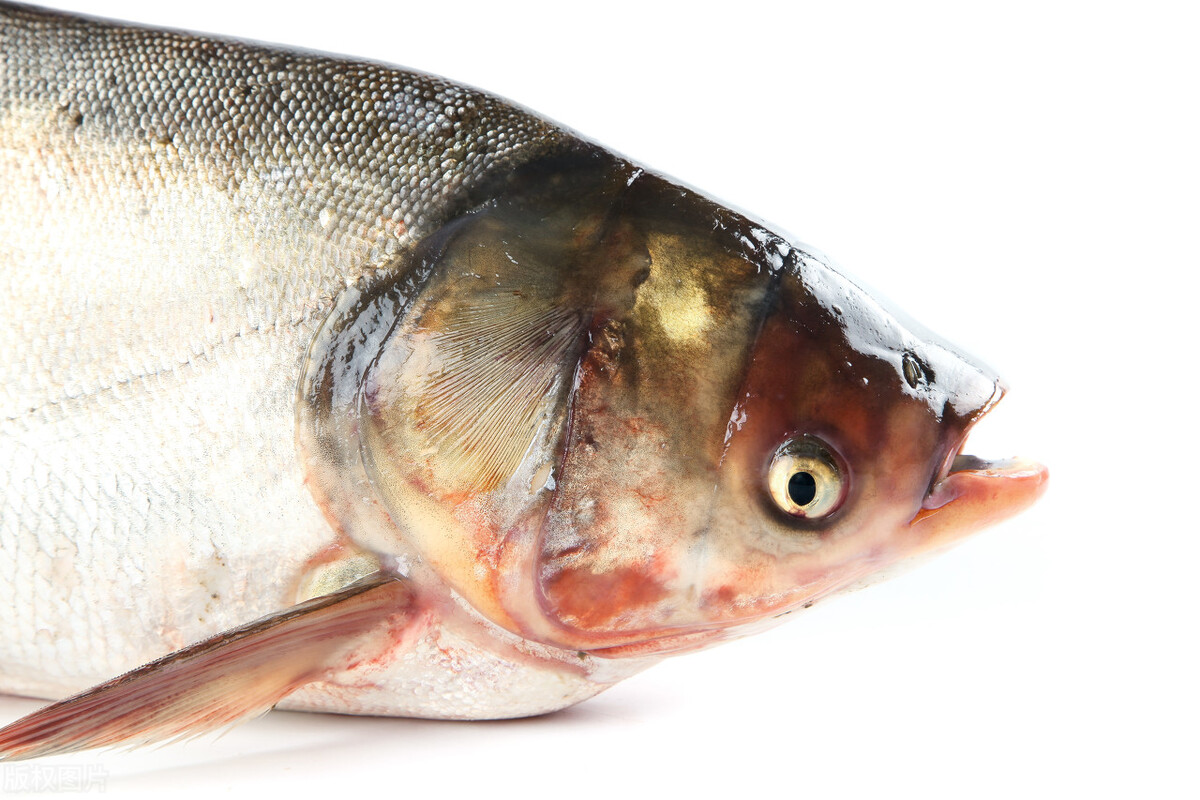 Do this with chopped pepper fish head, even if you are not a chef, you ...