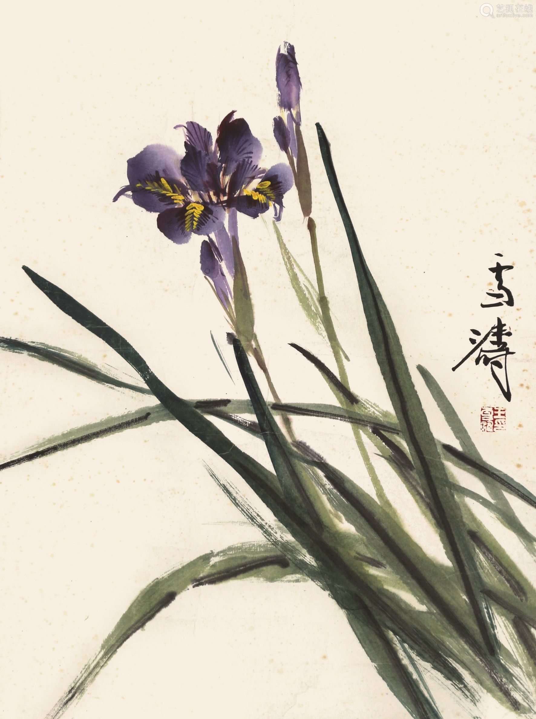 Taste teacher Wang Xuetao's flower-and-bird painting and feel the charm ...