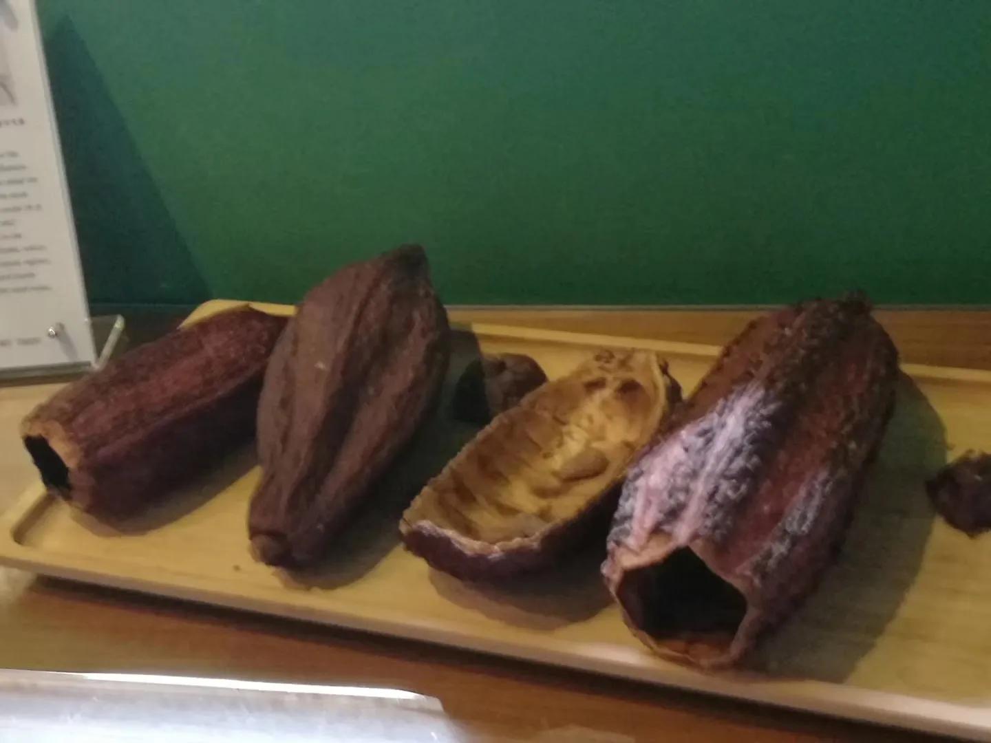 Chocolate workshop from Austria - Zante - iNEWS