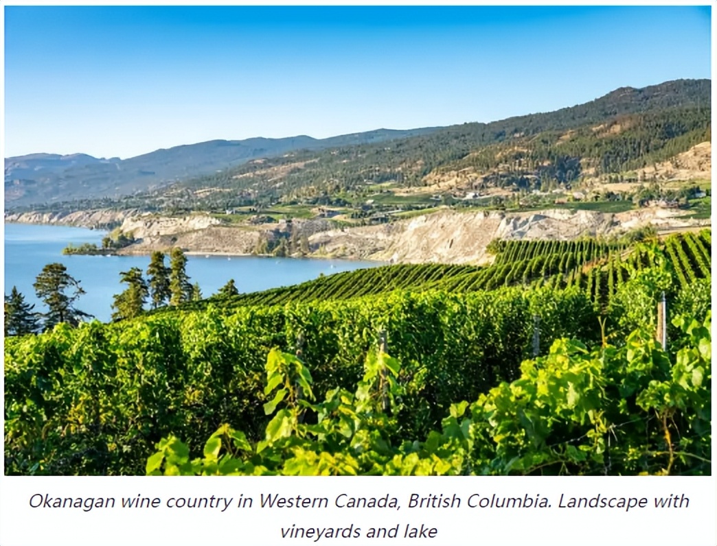Step aside Vancouver! Canada's livable cities ranking announced! It ...