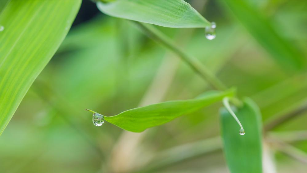The Autumn Equinox and Autumn in Kuizhou in Du Fu's Writings - iNEWS