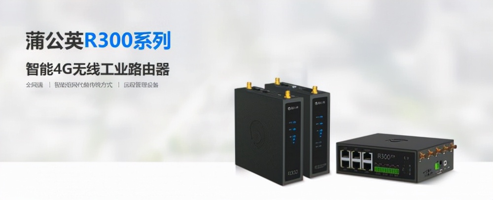 Intelligent special robot networking, Dandelion R300 series 4G ...