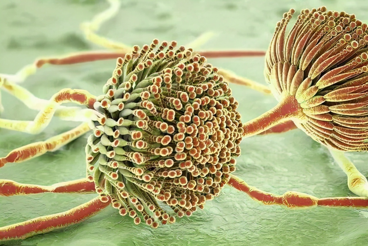 The list of "Class 1 carcinogens" is here. Do you have any favorites ...