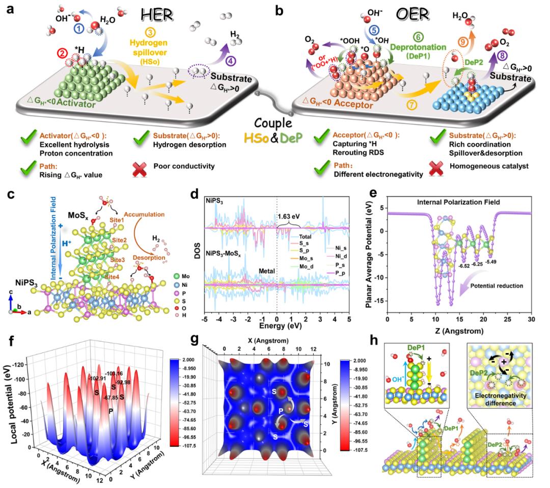 MoS₂/NiPS₃ vertical heterostructure with built-in polarization field ...