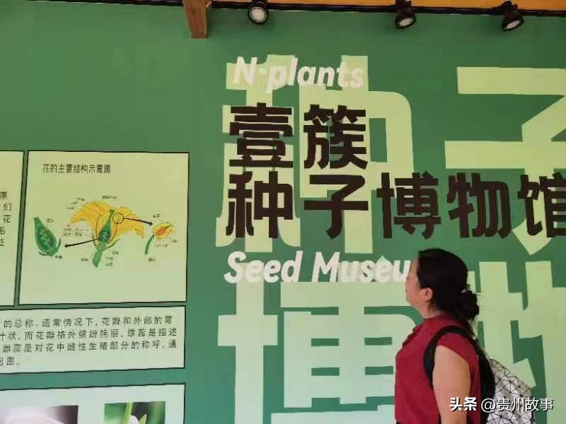 Guiyang's first "One Cluster of Seeds Museum" opened today - iMedia