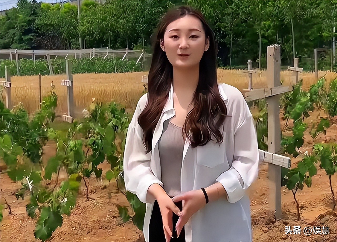 Zhu Danwei and Chen Meng's wedding photos leaked?Don't make trouble ...