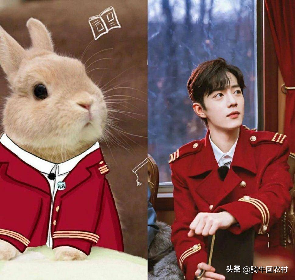 Xiao Zhan hits the dog's expression bag - iMedia