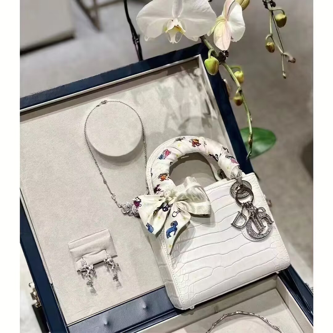 Dior rare leather Princess Dai - iMedia