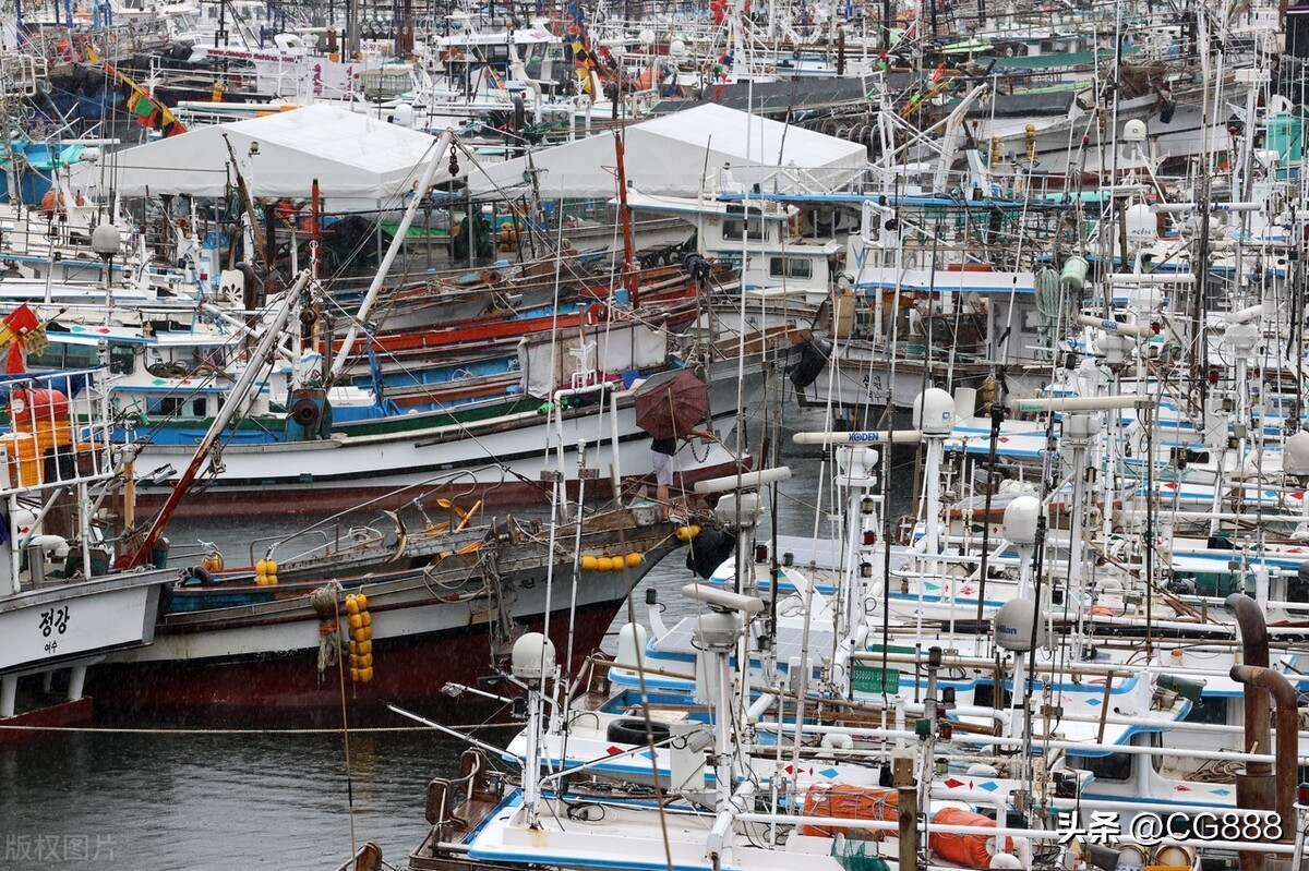 Typhoon Kanu is approaching Jeollanam-do, South Korea, and ships stop ...