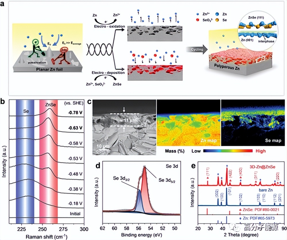 Song Weixing/Zhi Chunyi "AEM" One-step construction of a porous zinc ...