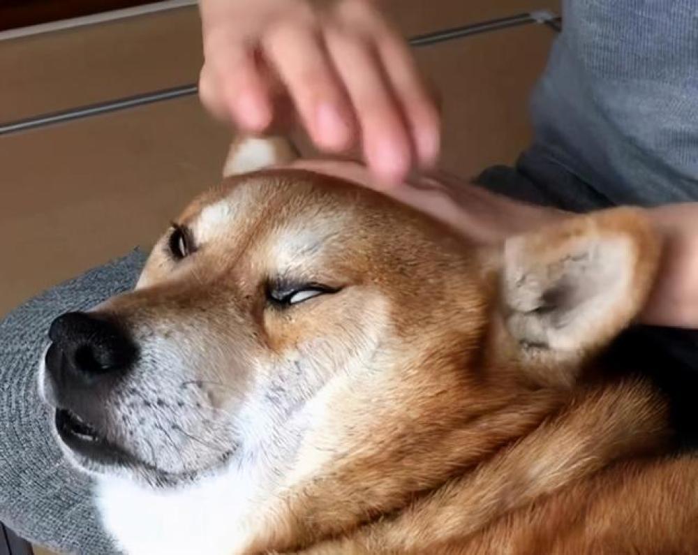 If the owner does these things, it is equivalent to "abandoning" the ...