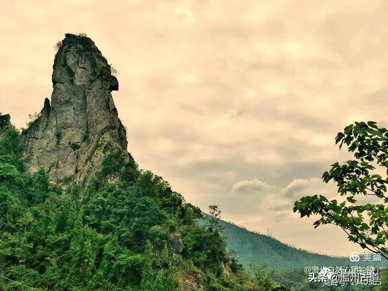 Tiyun Valley - Wenzhou, a scenic spot with few people and beautiful ...