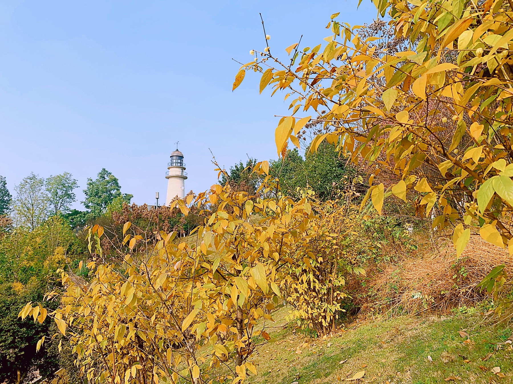Warm sun in winter, river view in Jinhai Bay, Yubei, Chongqing - iNEWS