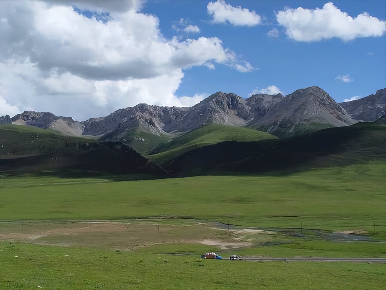 Plant community dynamics during the growing season in typical ...