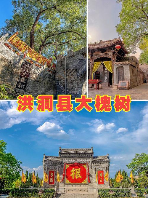 Legendary story: The big locust tree in Hongdong, many people have to ...