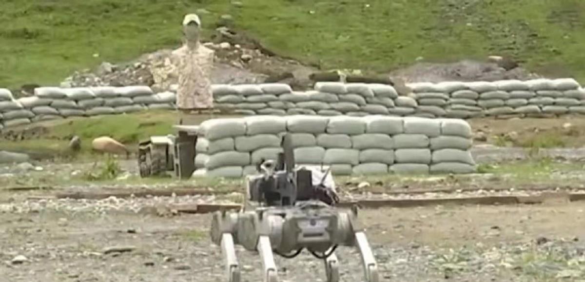 How powerful is China's armed robot dog? It can carry rocket launchers ...