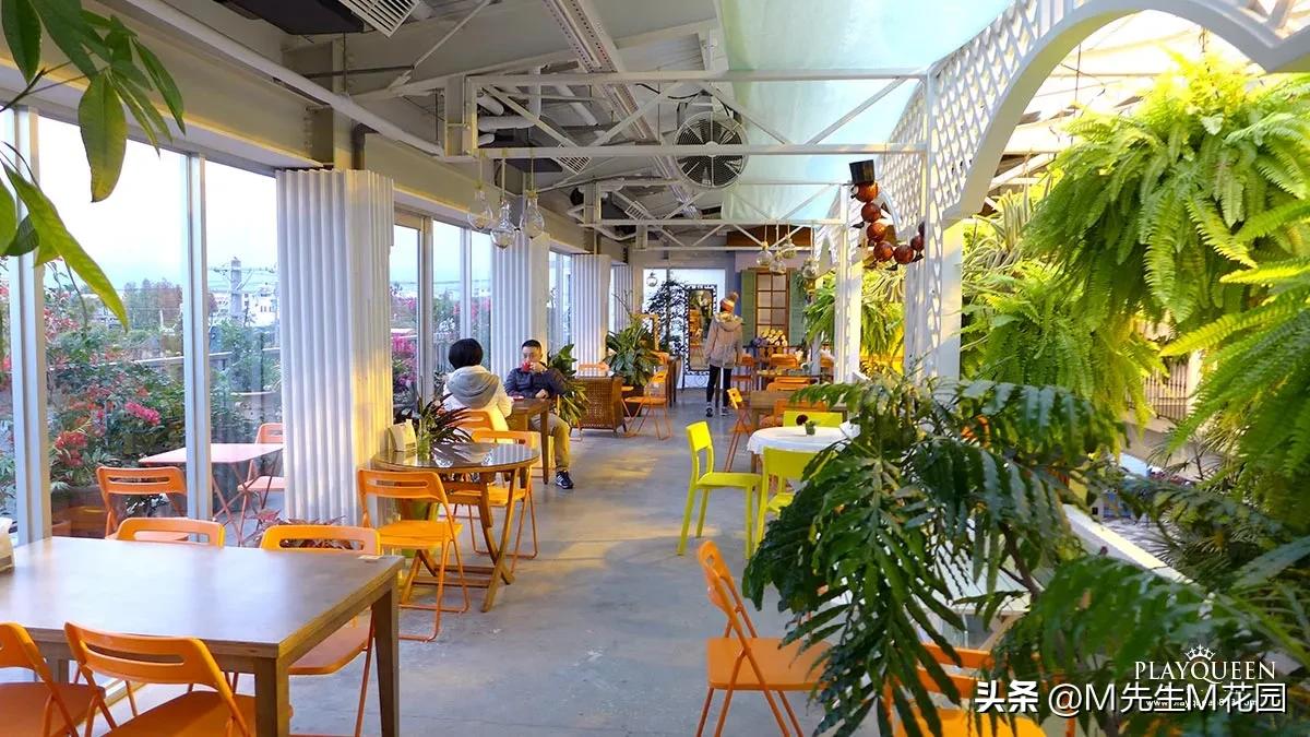 Grab these color schemes, and your garden will be advanced immediately ...