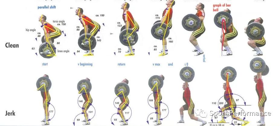 NSCA-CSCS certification knowledge: Differences and connections between ...