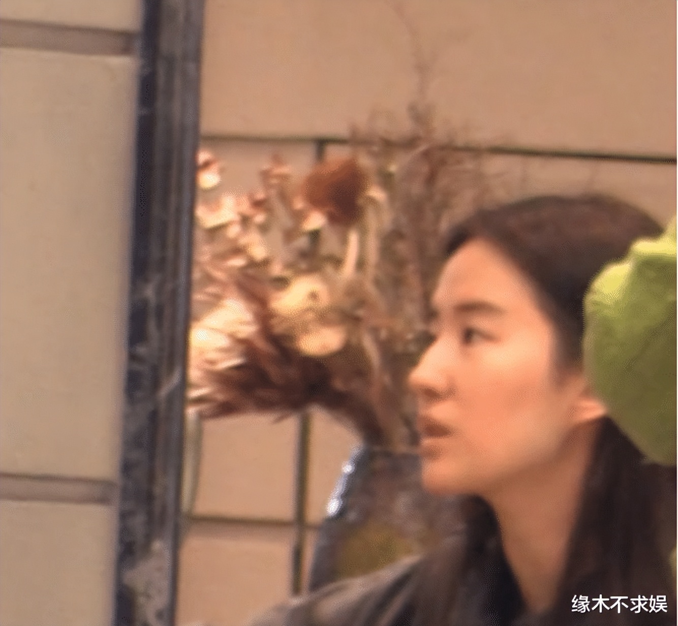 35-year-old Liu Yifei went shopping without makeup, and the status of the picture caused ...