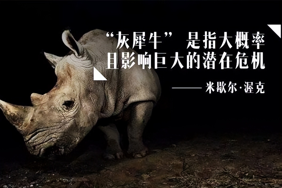 The gray rhino is coming, and the local debt crisis is showing faint ...