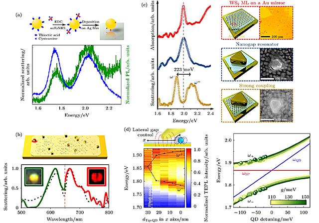 Common quantum simulation system research - iNEWS