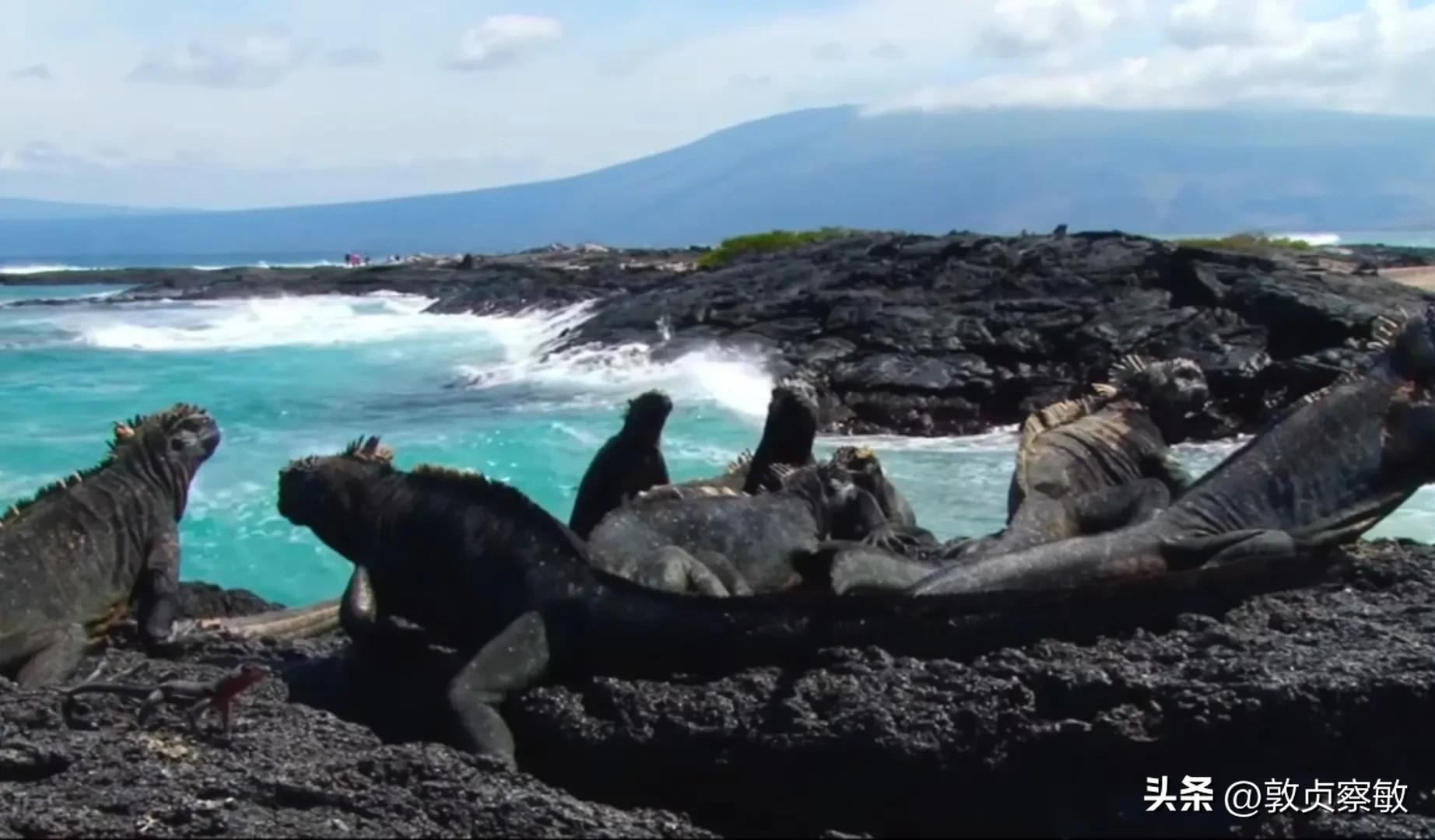 Colon Islands - the world's largest natural museum - iNEWS