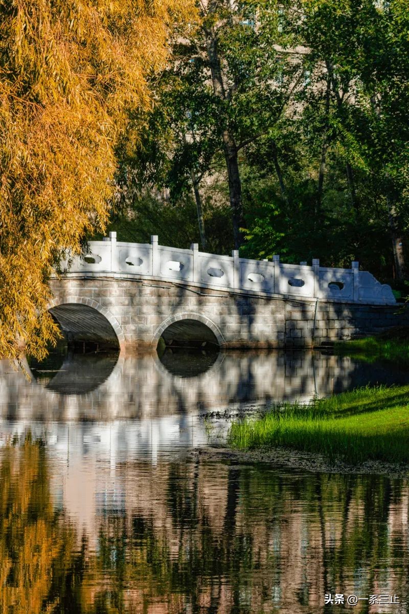 I felt the delicate Jiangnan style in the iconic square of Hailar ...