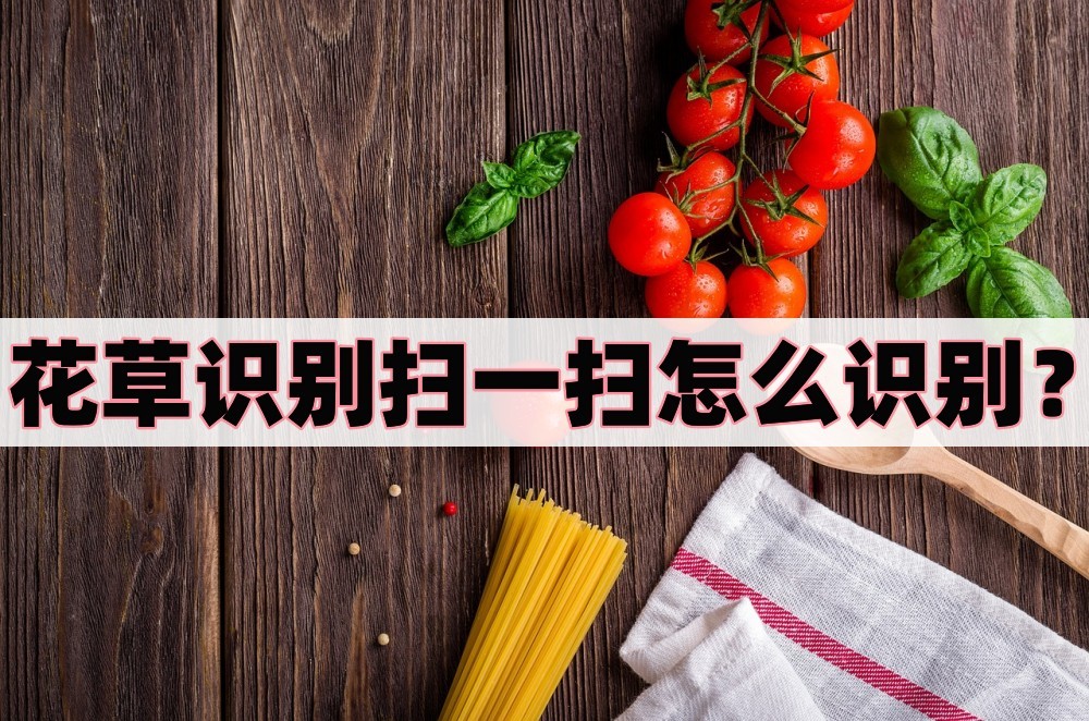 How to identify flowers and plants by scanning? Three ways to identify ...