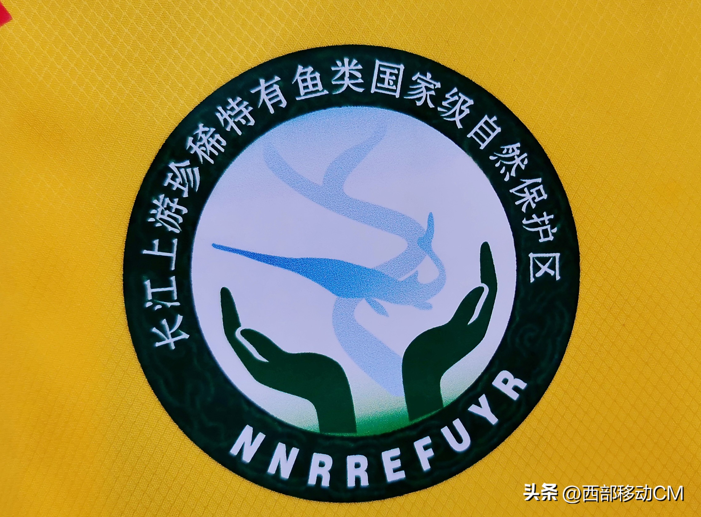 The Chishui River is an important habitat for 45 endemic fish species ...