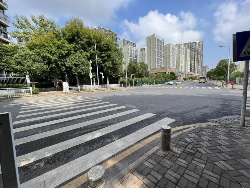 Pedestrians do not walk on zebra crossings, there are no traffic lights ...