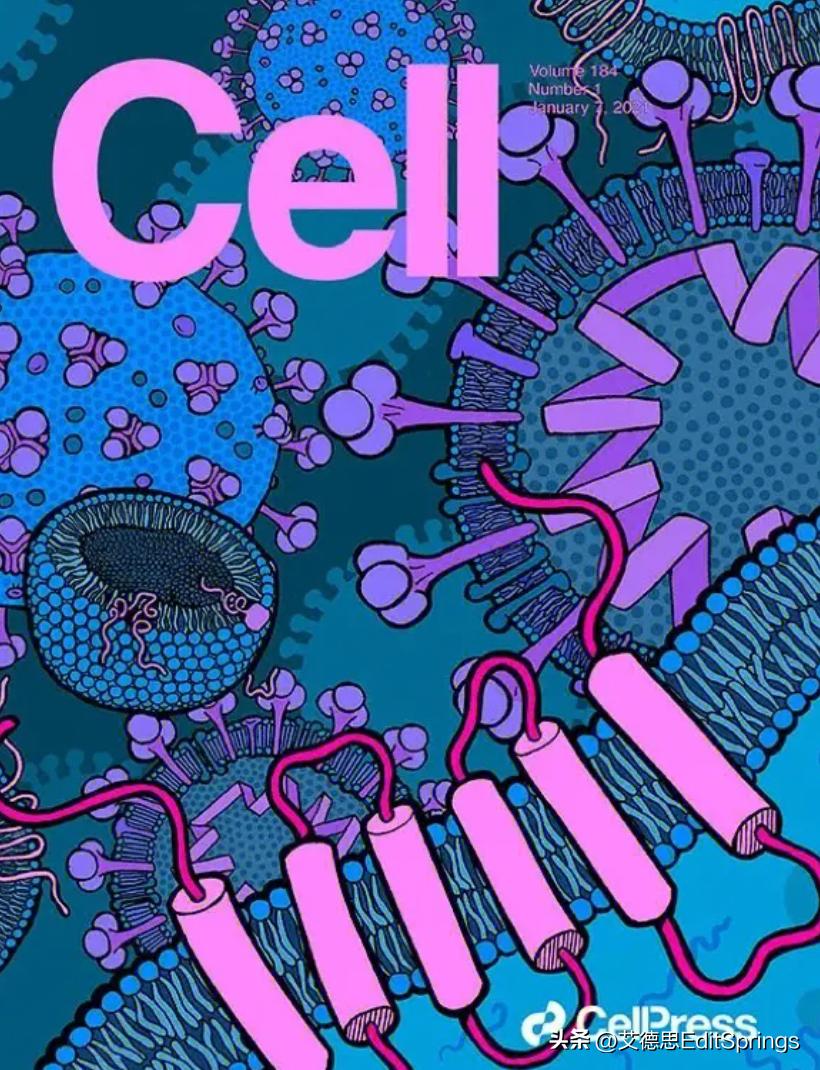 What was the status of CELL journals in the 1980s? - iNEWS