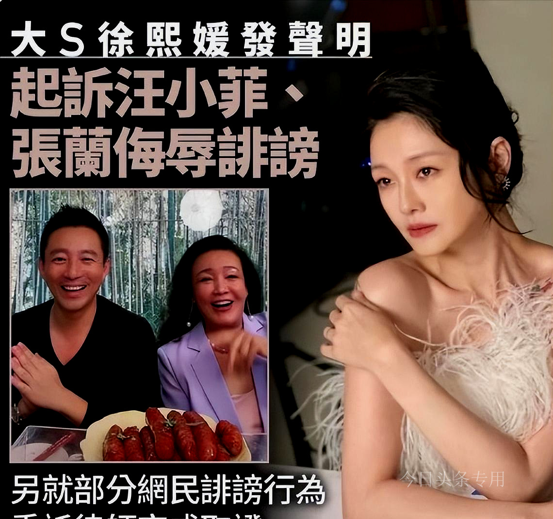 Big S announced that it will sue Zhang Lan and Wang Xiaofei, the real purpose is suspected to be ...