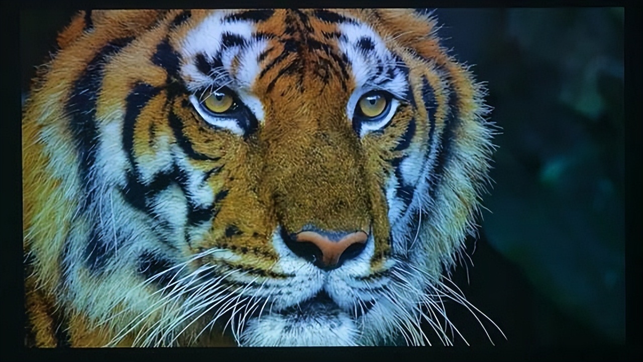 4K投影儀怎麼選？極米H6Pro、極米H6變焦版和定焦版區別是什麼？ - 頭條匯