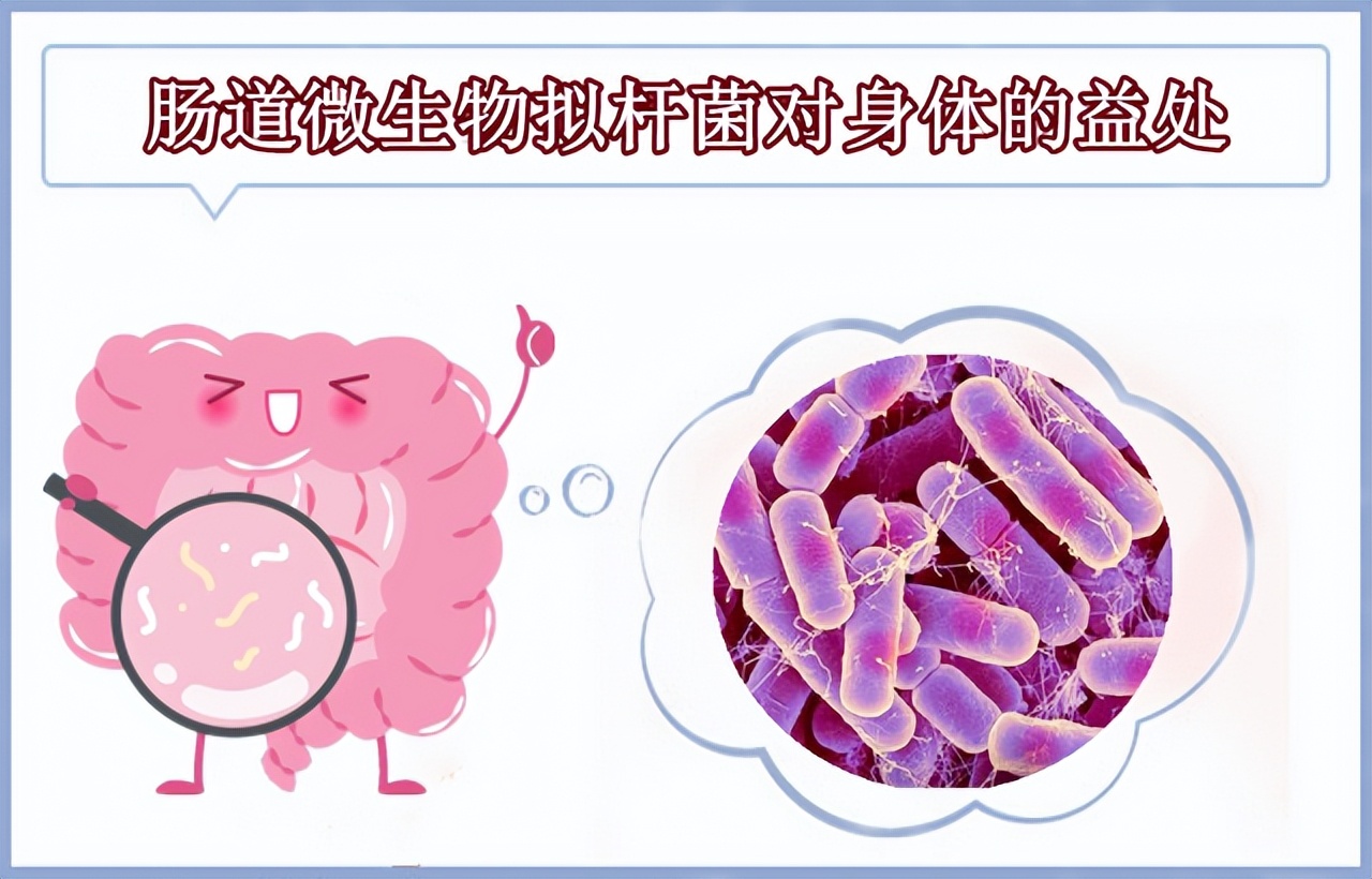 Xiaochangbao Health Science Popularization: What are the benefits of ...