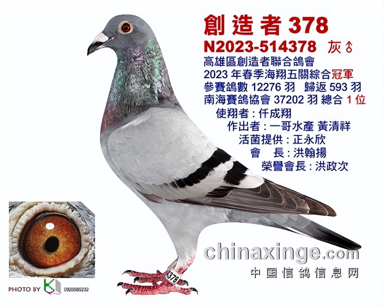 Come and watch the "magic bird" in Taiwan's 80,000 pigeons Wuguan ...
