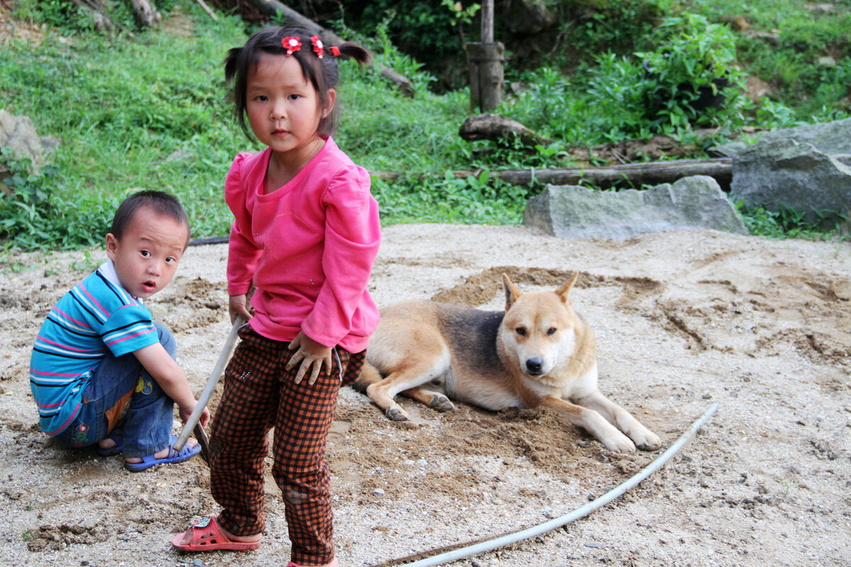 "The Days of Chasing the Light": The Enlightenment of Lighting the ...