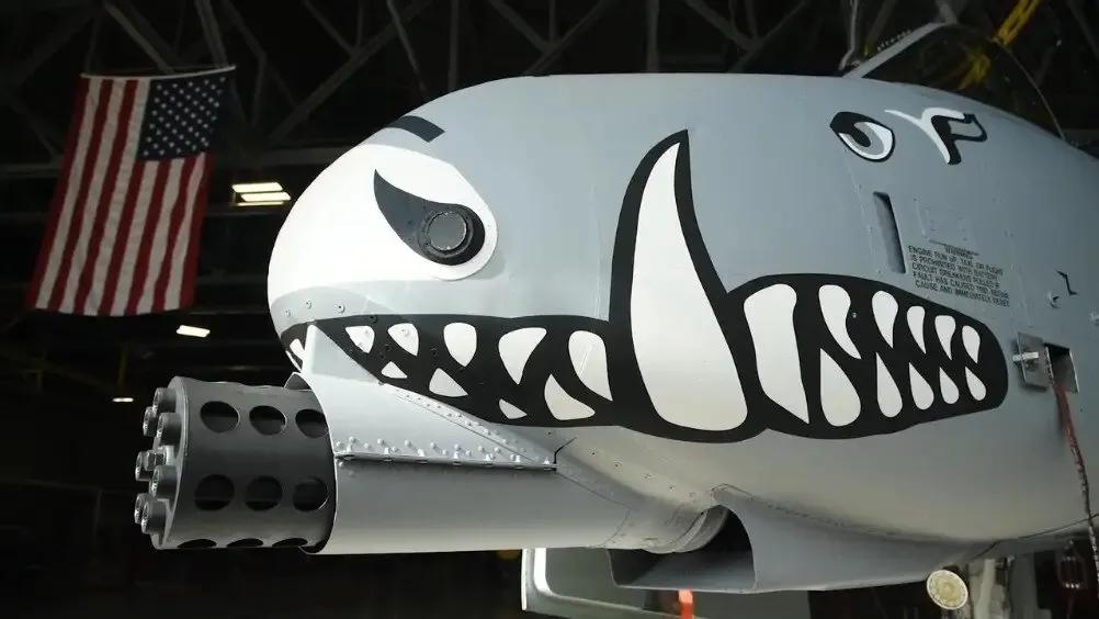 The A10 attack aircraft and the stillborn A12, the latter is more sci ...