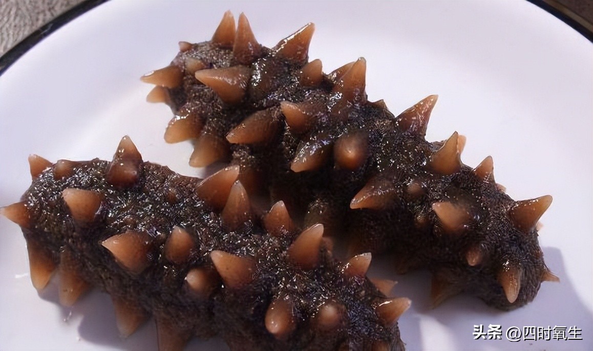 It's a good season to eat sea cucumbers. Homemade sea cucumbers do this ...