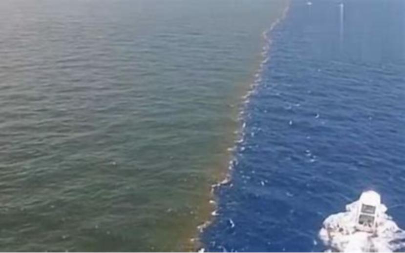Why are Atlantic and Pacific waters incompatible? Unraveling the ...