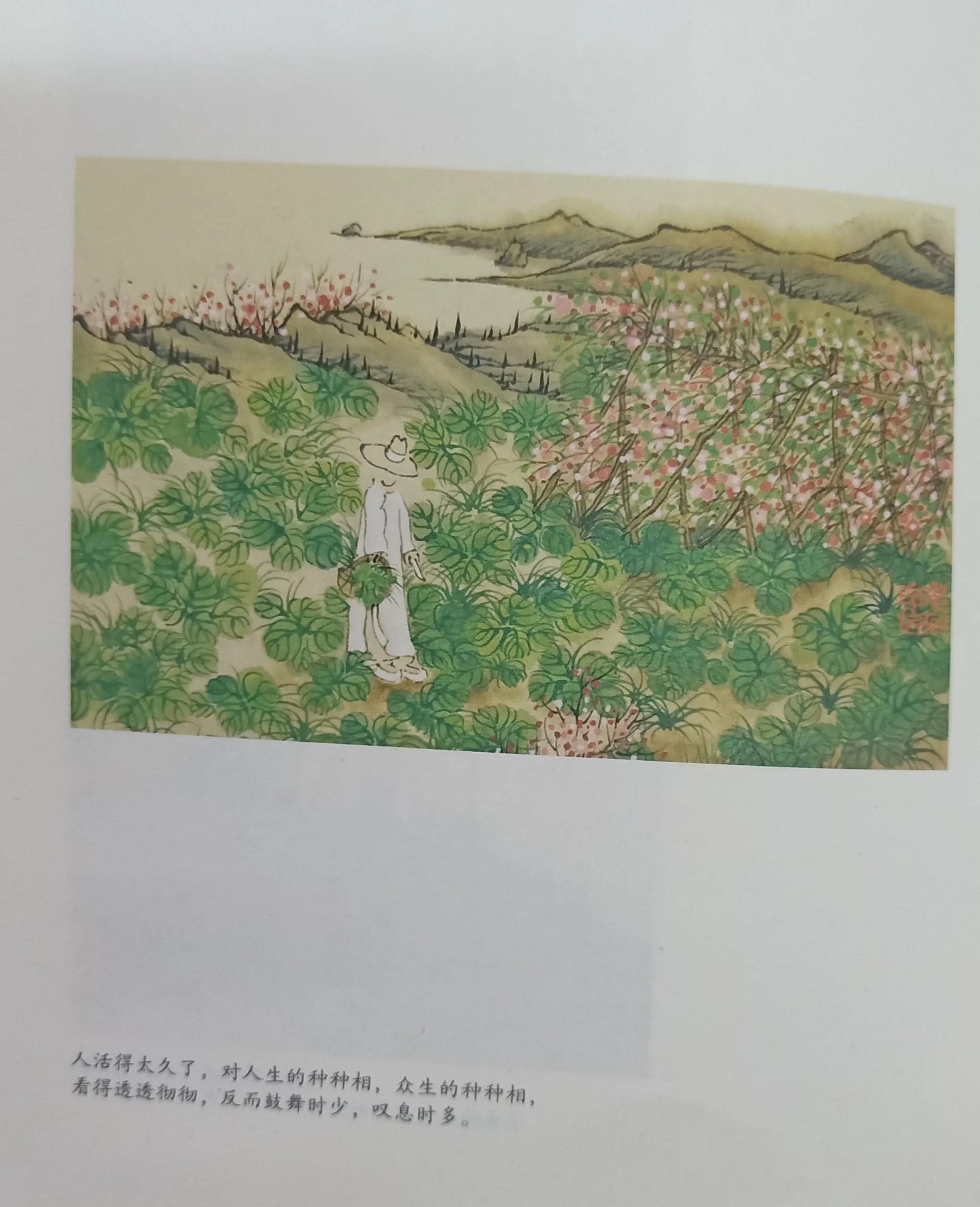 My Creed in Life: Truth - "Peace of Mind is Home" - iMedia