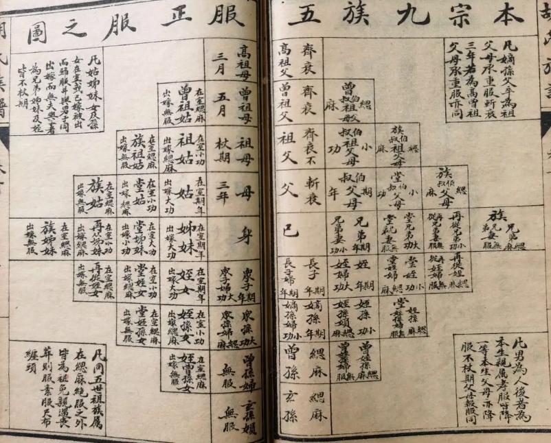 Family tree, not just family relationship on paper! - iMedia