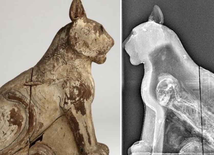 Brief Analysis: The Role of People in Domesticating Animals in Cities ...