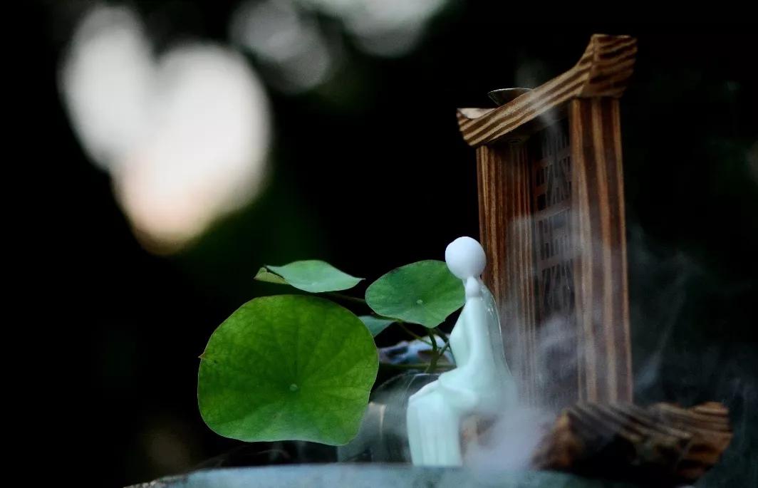 Five Zen poems worth savoring for a lifetime, quiet and beautiful, let ...