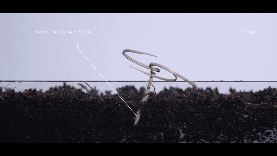 Scientists have developed a new type of self-drilling soil seed carrier ...
