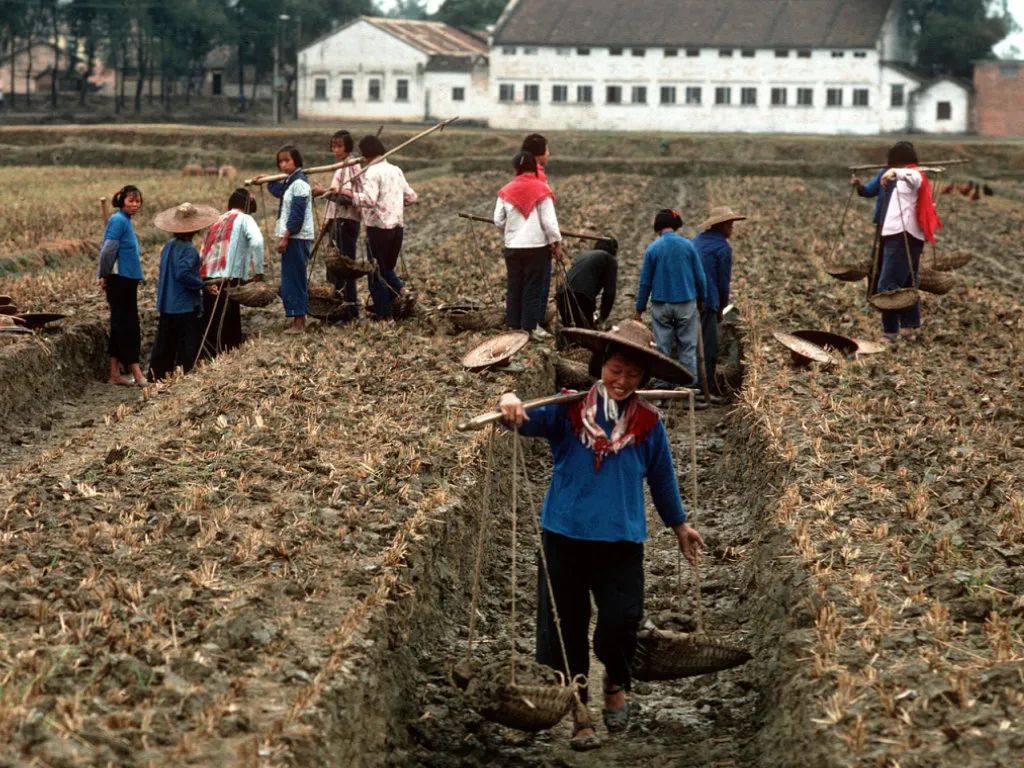 Pan Guangdan: North China and South China - iMedia