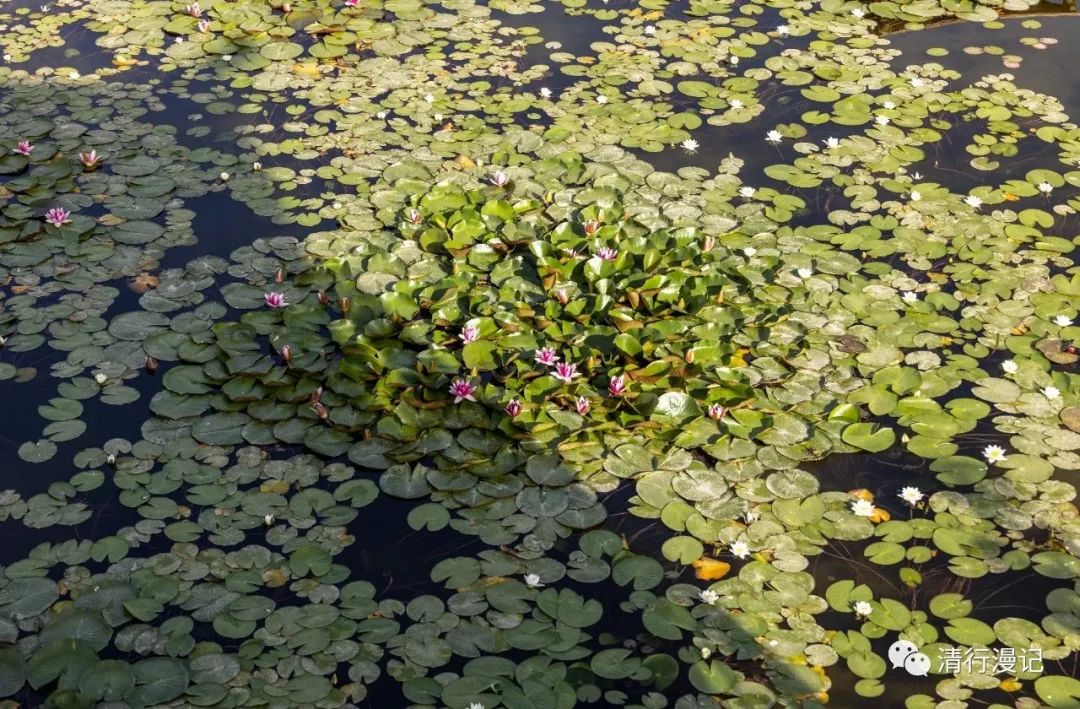 Bosten Lake Tour in Xinjiang - iMedia