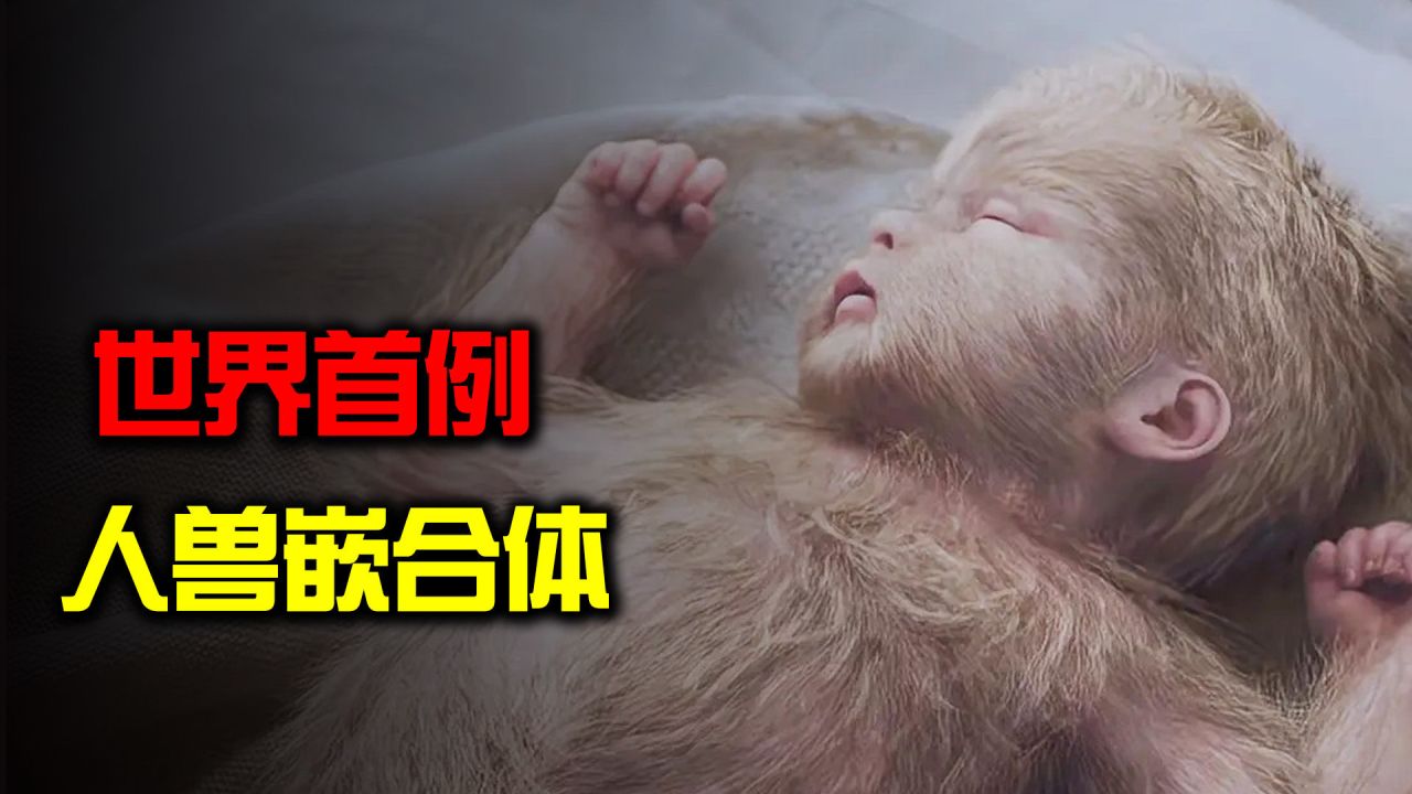 The Truth About Human Chimeras: Are They Monsters or Miracles? - iNEWS