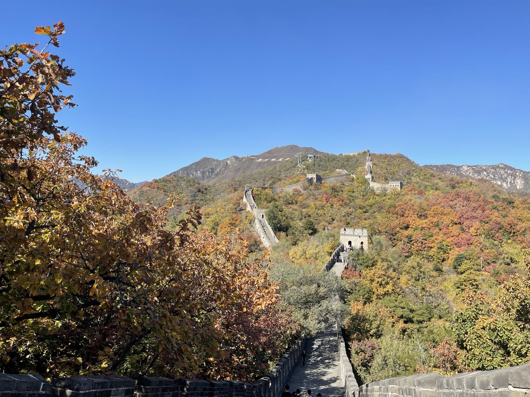 Seven Absolutes: Frostfall - iNEWS